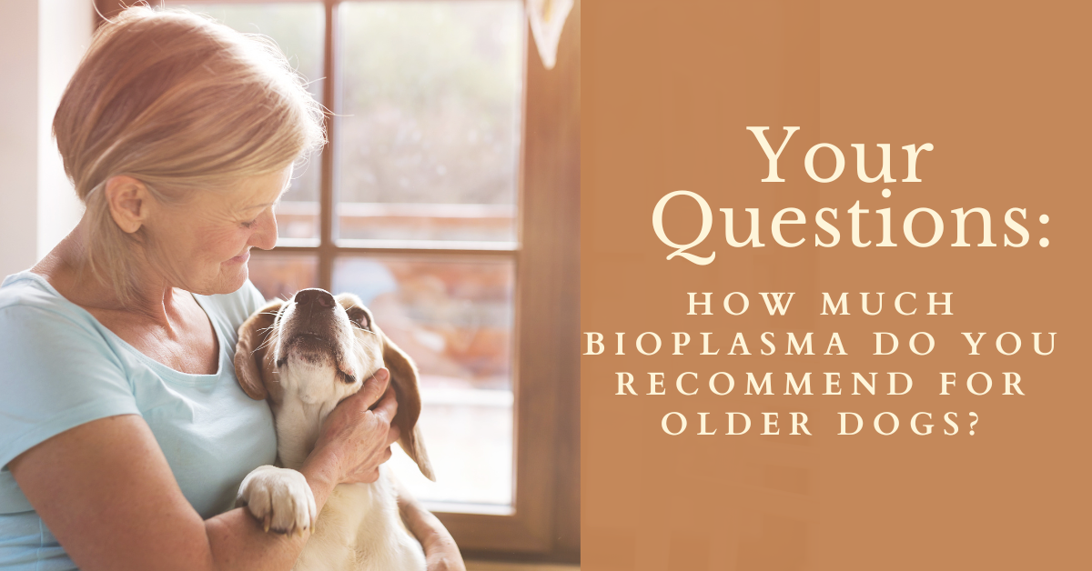 Your Questions: How much Bioplasma do you recommend I give to my older