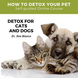 Why is it important to detox your pets?